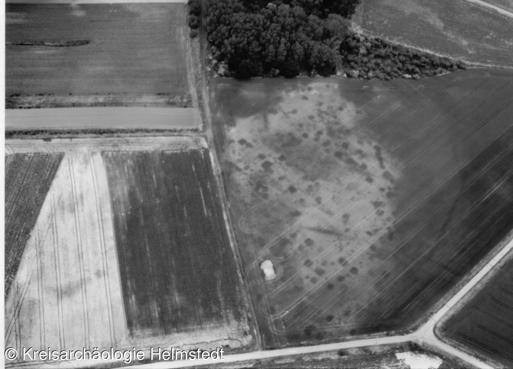 Grabungen – Grubenhaus am Petersteich